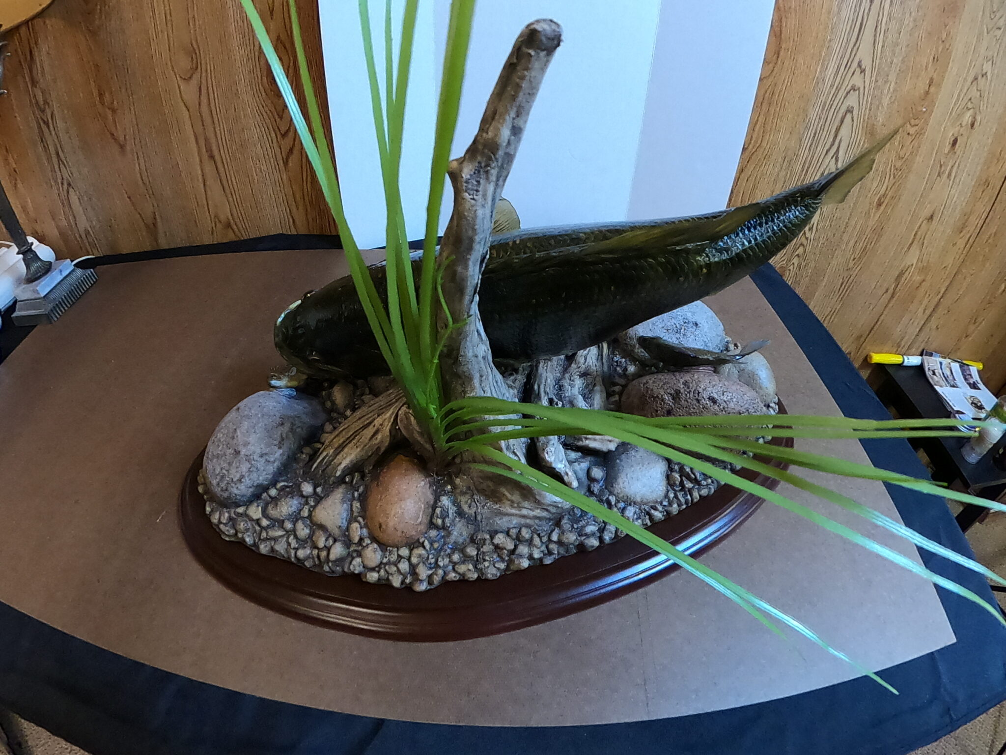 Largemouth Bass Reproduction “Guarding The Nest” – Reel Swede